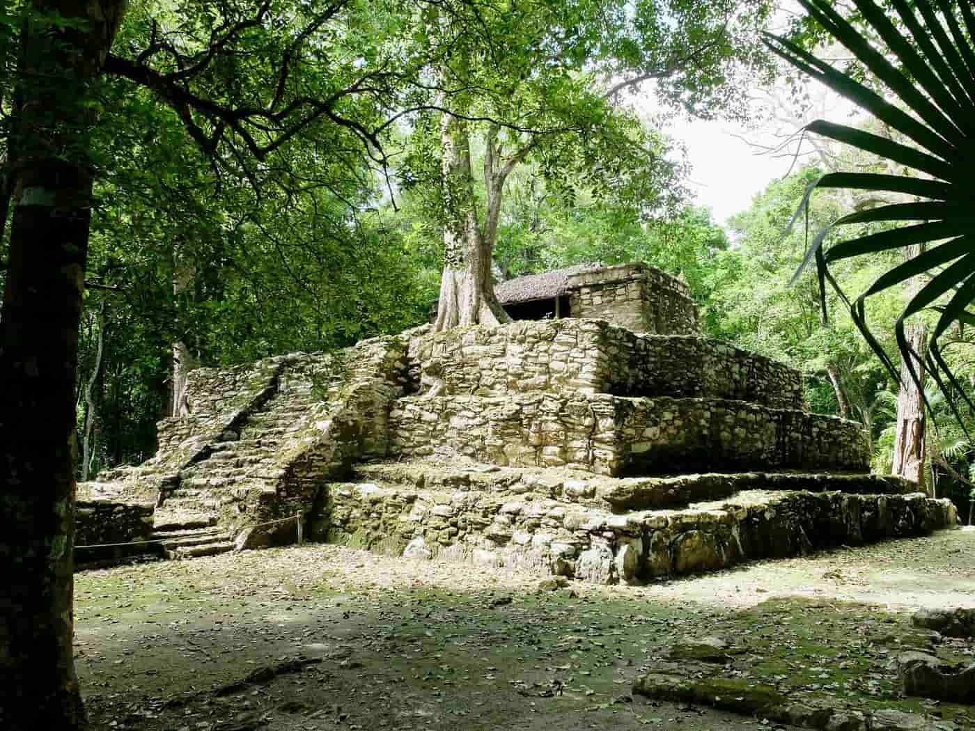 Ruins of Muyil tour & mini Sian Kaan & Cenotes hike